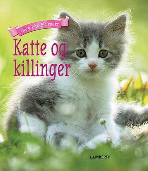 Katte og killinger - Billedbøger 3-6 år - LAMBERTH ApS
